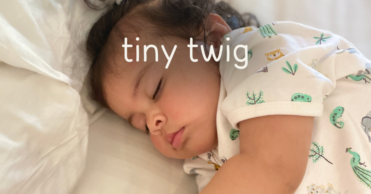 Shop Organic Cotton Clothing for Newborns and Babies | Tiny Twig India